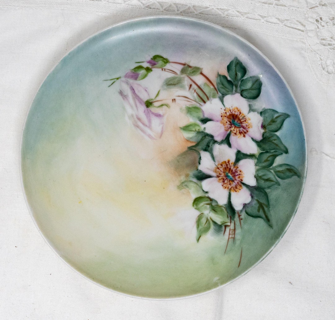 Eschenbach Baronet China Hand-painted Plate "celeste", Pale Soft ...