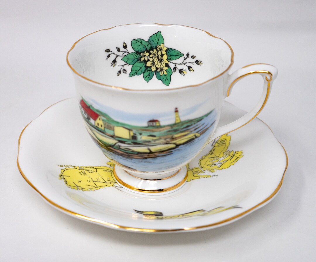 Queen Anne Mayflower Teacup and Saucer Set, Nova Scotia, Vintage Bone ...
