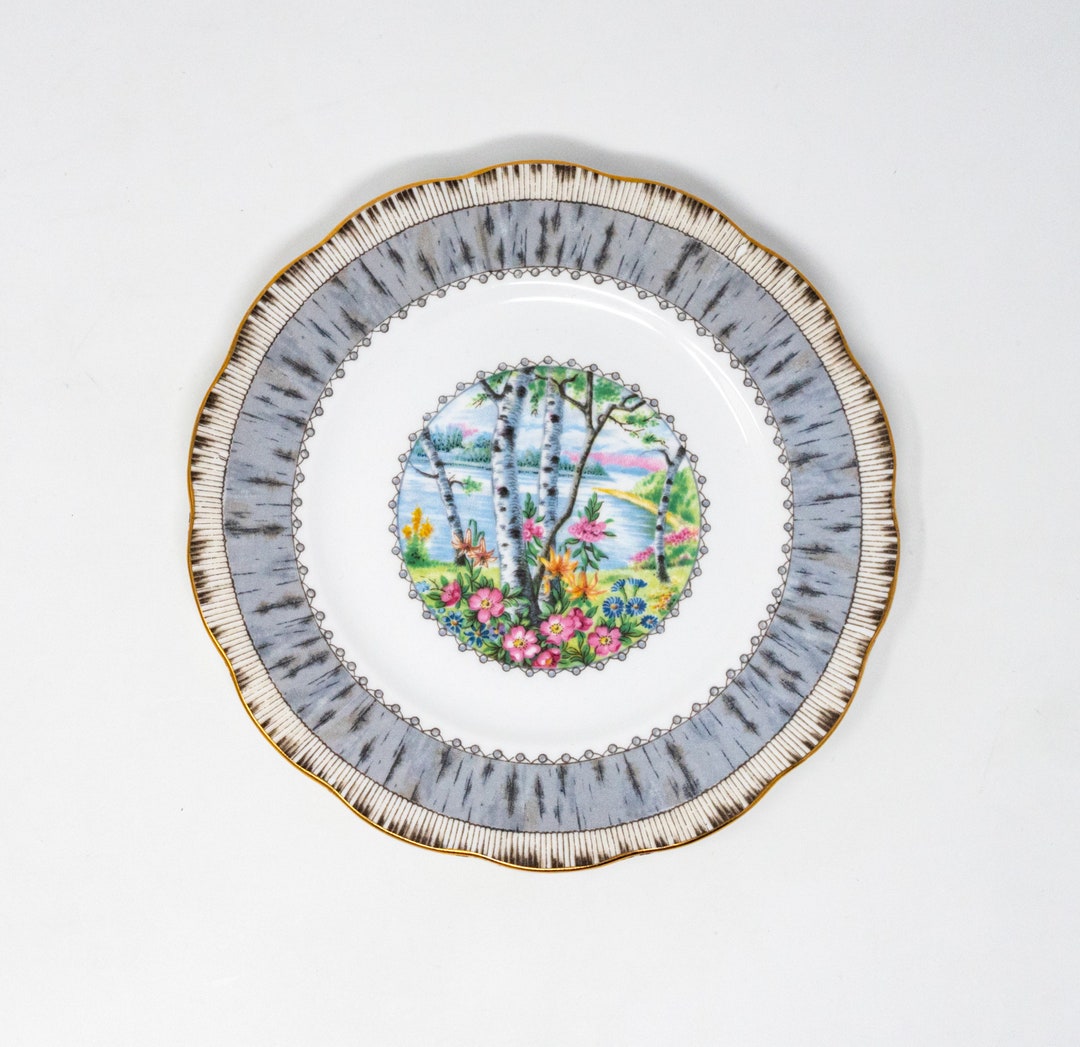 Royal Albert Silver Birch 6.25" Plate, Made in England, Vintage Bone ...