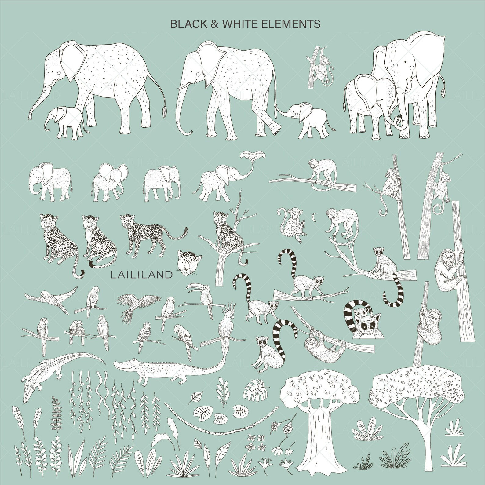 Jungle Animal Black and White Clipart: Safari Line Art (PNG, EPS, SVG ...