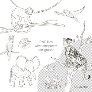 Jungle Animal Black and White Clipart, Safari Doodle Clip Art, African ...