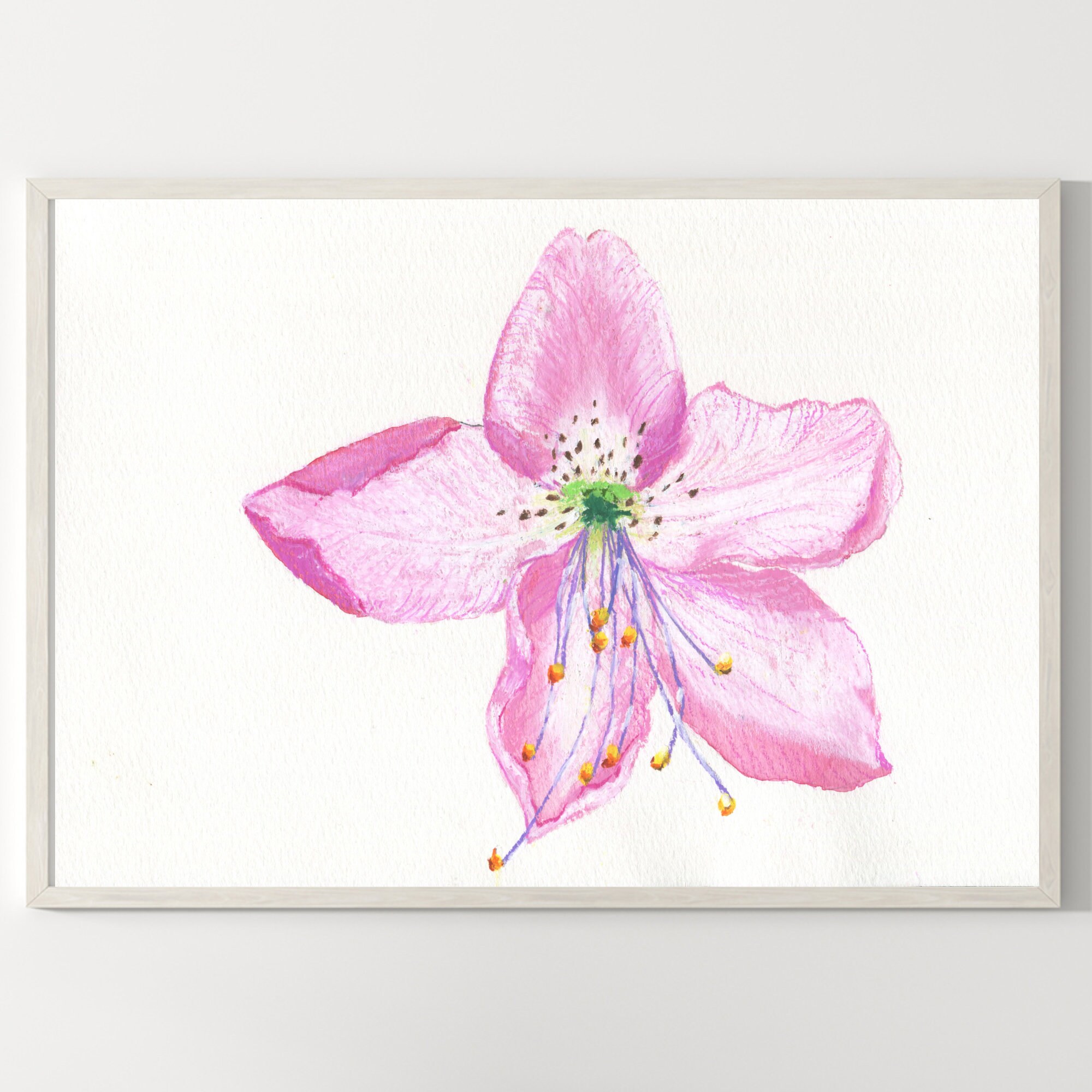 Oil Pastel Drawing Pink Azalea.a Picture That Fits Into a Narrow ...