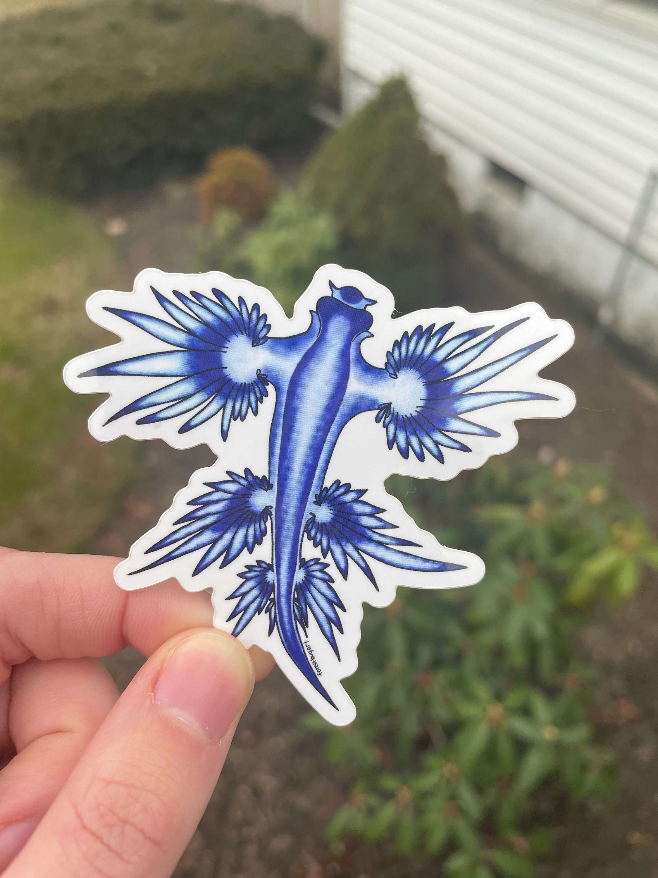 Blue Glaucus Sticker Glaucus Atlanticus Art Blue Dragon Art Sea Slug ...