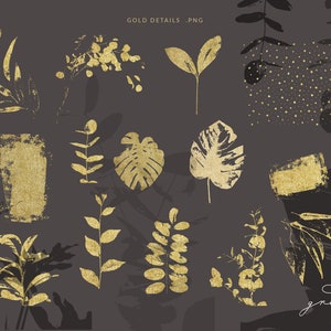 Gold Beige Leaves, Vector Leaves Texture, Autumn Gold Leaves, Leaf ...