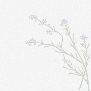 5 Wildflower Backgrounds, Floral Digital Paper, Botanical Digital Paper ...