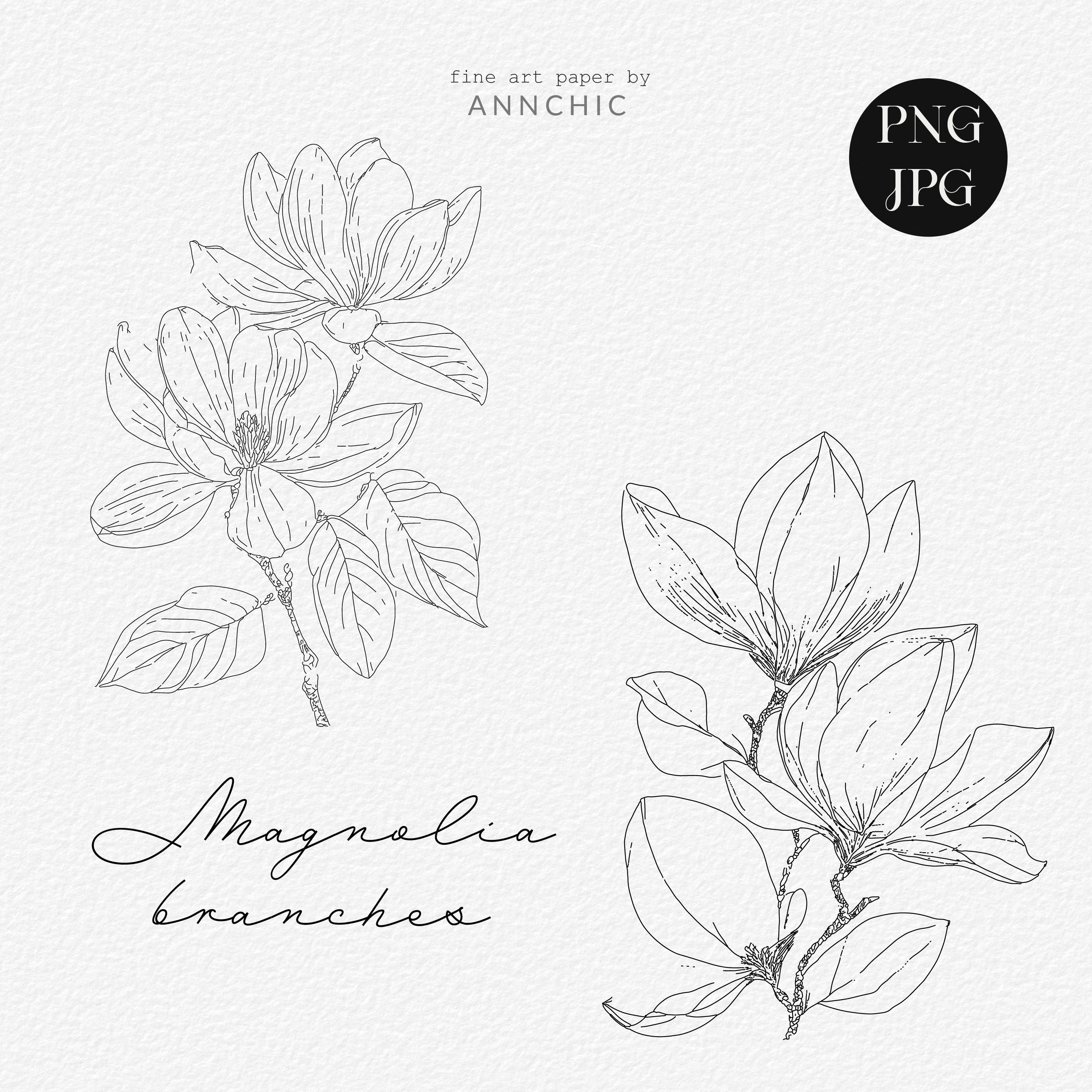 Magnolia Png Clipart, Flower Branch Craft Paper, Watercolor Floral ...