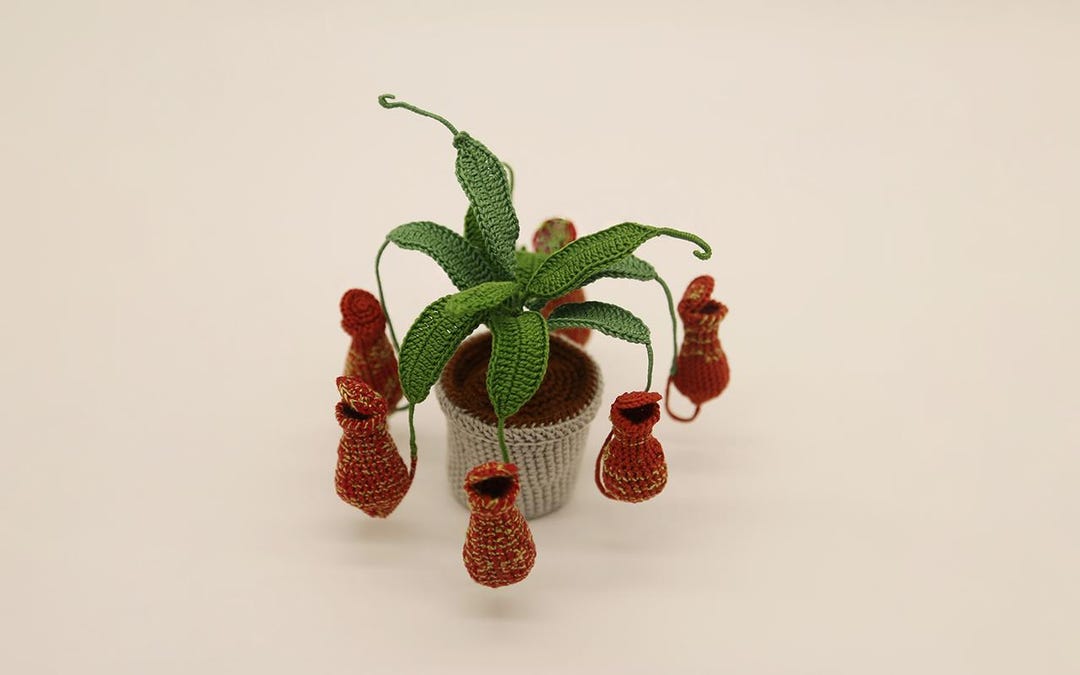 Nepenthes (pitcher Plant) Crochet Pattern - Etsy