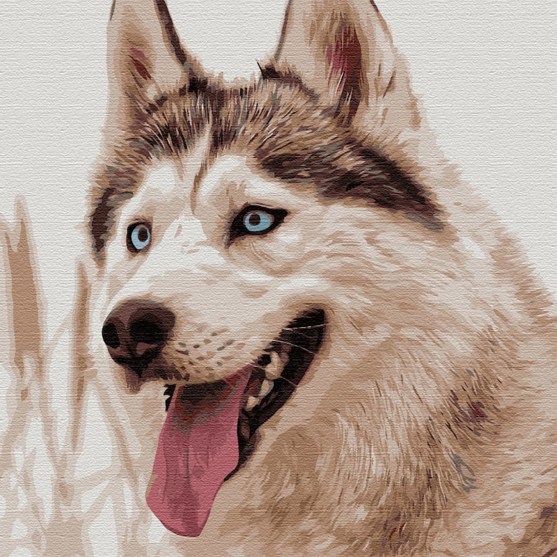 Paint by Number Dog - Etsy