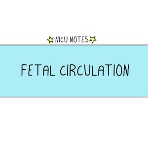 Fetal Circulation : Nicu Nursing & Nnp Notes - Etsy