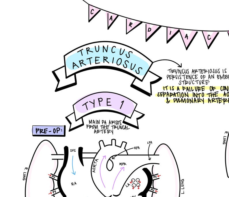 Truncus Arteriosus (pre and Post-op): Nicu/neonatal Nursing & Nnp Notes ...