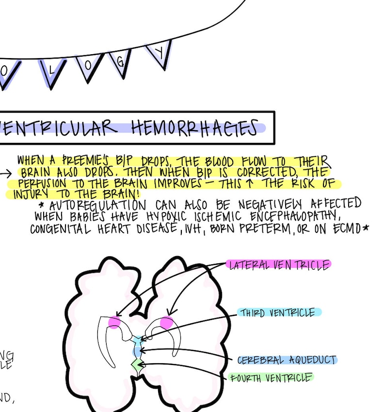 Neurology- IVH and PVL: Nicu Nursing & Nnp Notes - Etsy