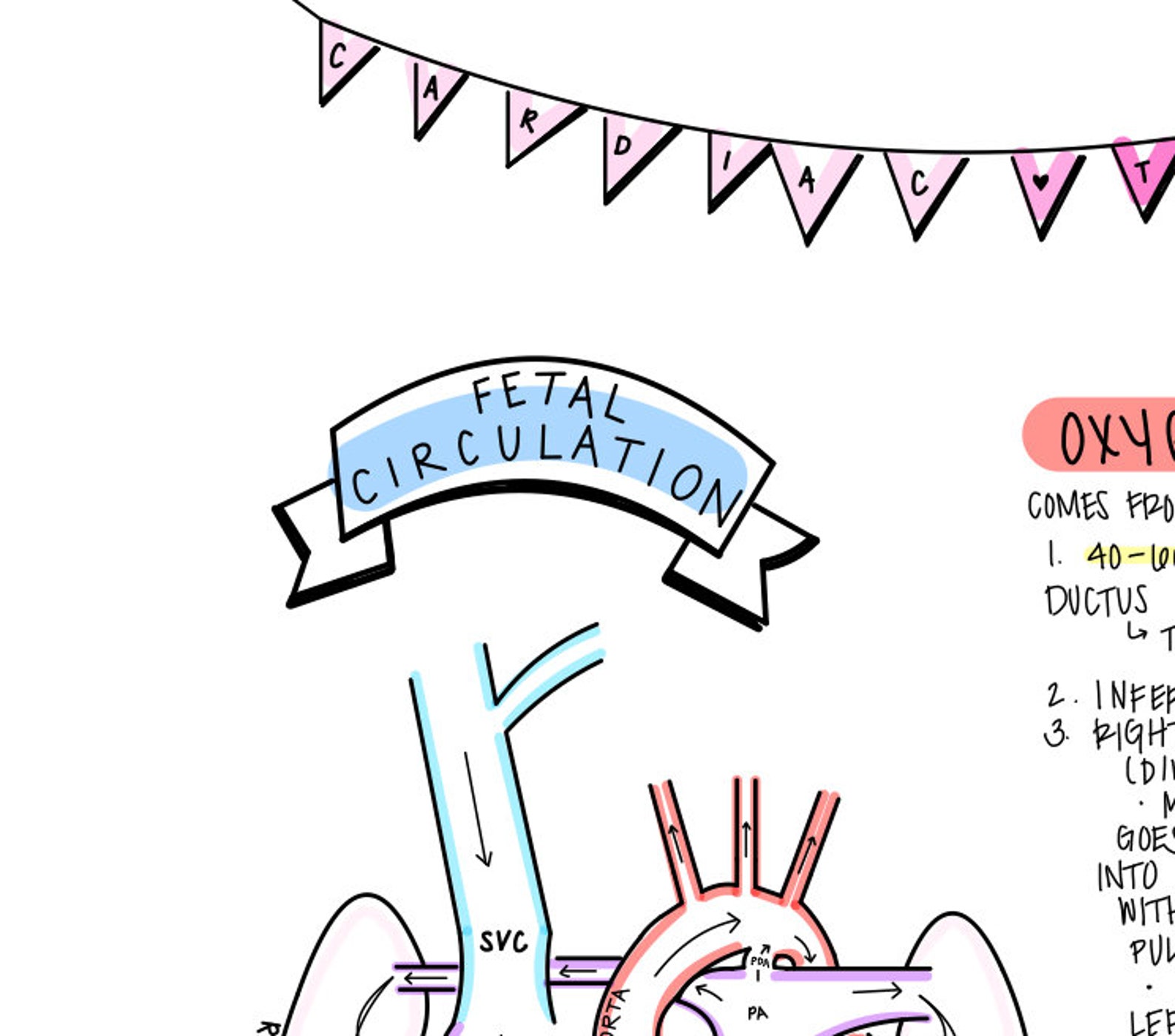 COMPLETE BUNDLE ** (UPDATED 2/8/22) : Nicu Nursing & Nnp Notes - Etsy