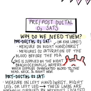 PDA + Alprostadil : Nicu Nursing & Nnp Notes - Etsy