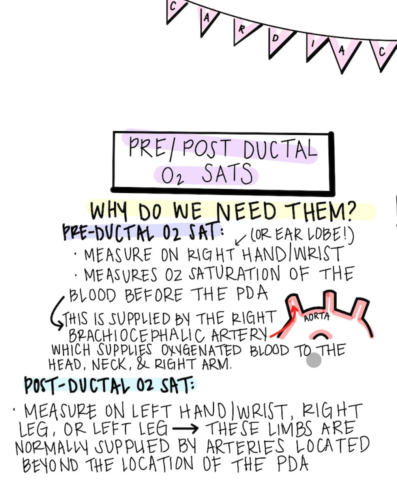 PDA + Alprostadil : Nicu Nursing & Nnp Notes - Etsy