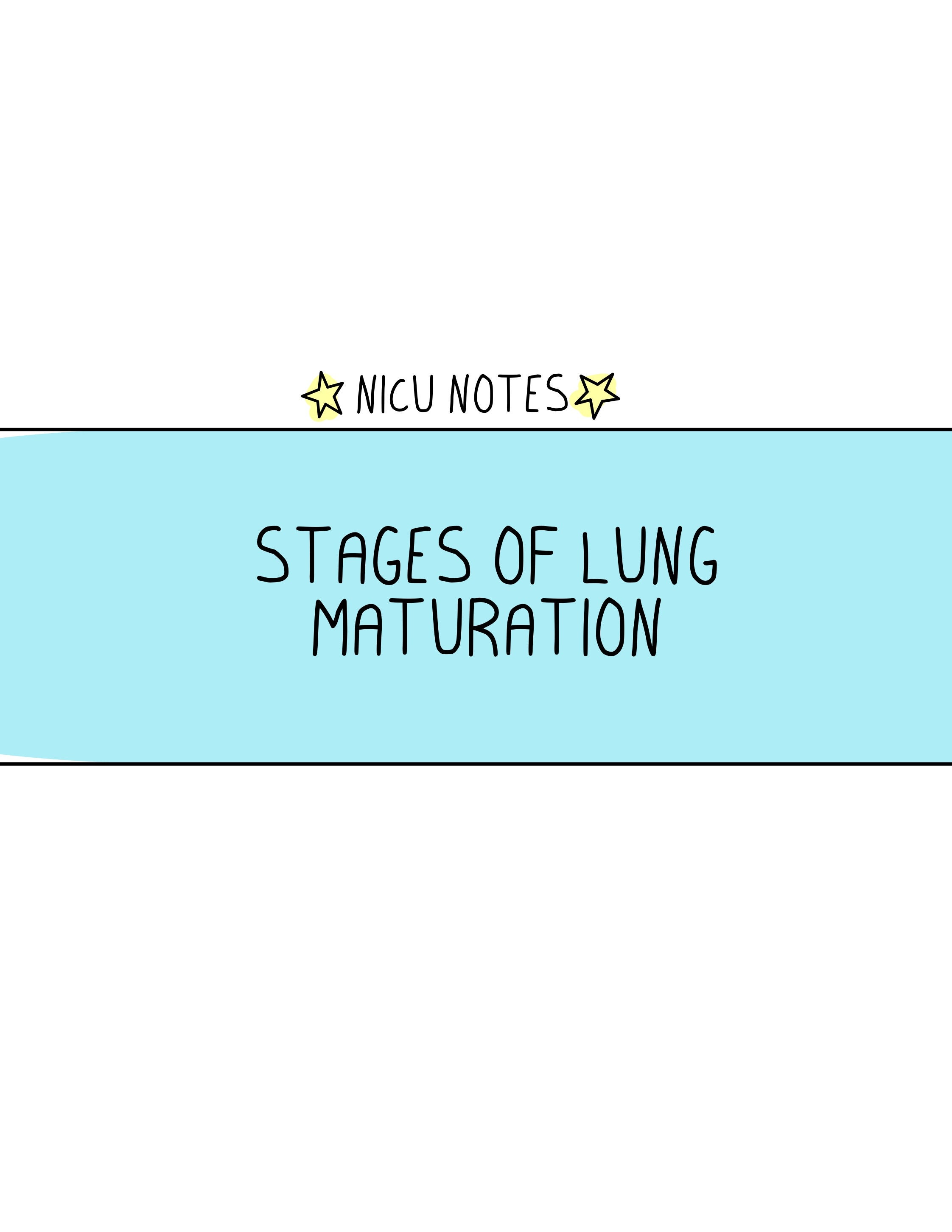 Stages of Lung Maturation: Nicu Nursing & Nnp Notes - Etsy