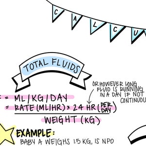 Calculations: Nicu Nursing & Nnp Notes - Etsy
