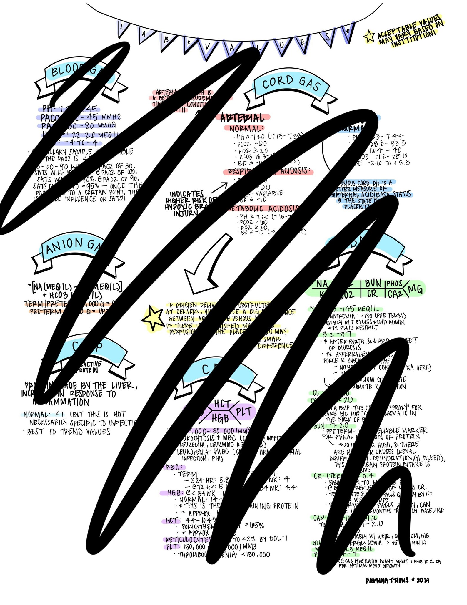 Neonatal Lab Values: Nicu Nursing & Nnp Notes - Etsy