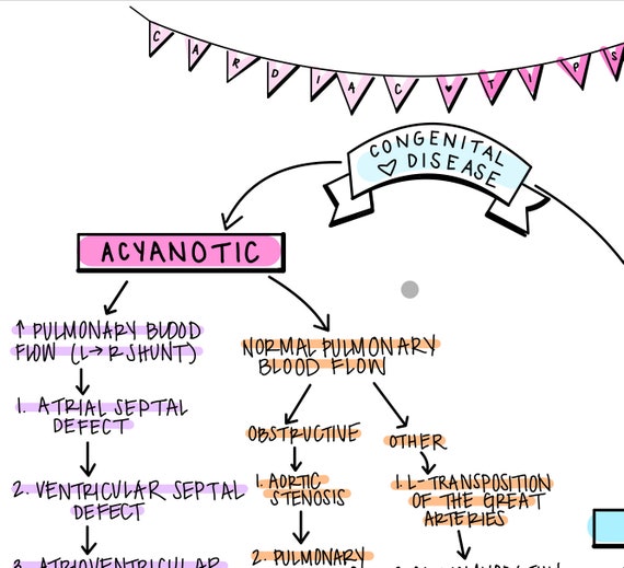 Acyanotic vs. Cyanotic Heart Defect Flowsheet | Etsy