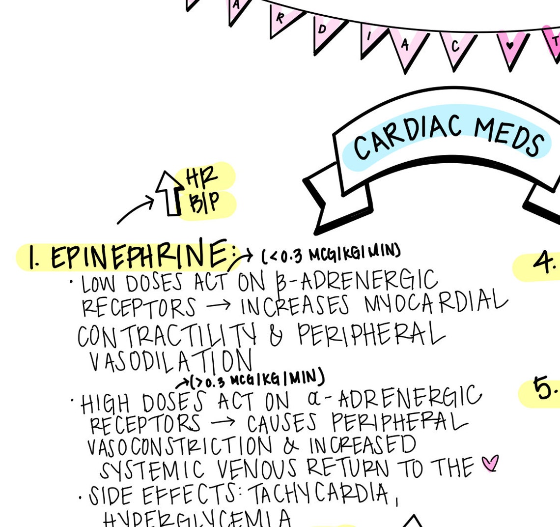 Common Cardiac Meds: Nicu/neonatal Nursing & Nnp Notes - Etsy