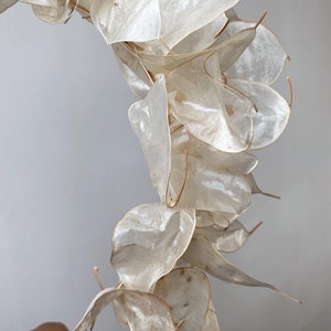 Lunaria Crown/ Dried Honesty/ Boho Flower Crown/ Dried Flower / Crown ...