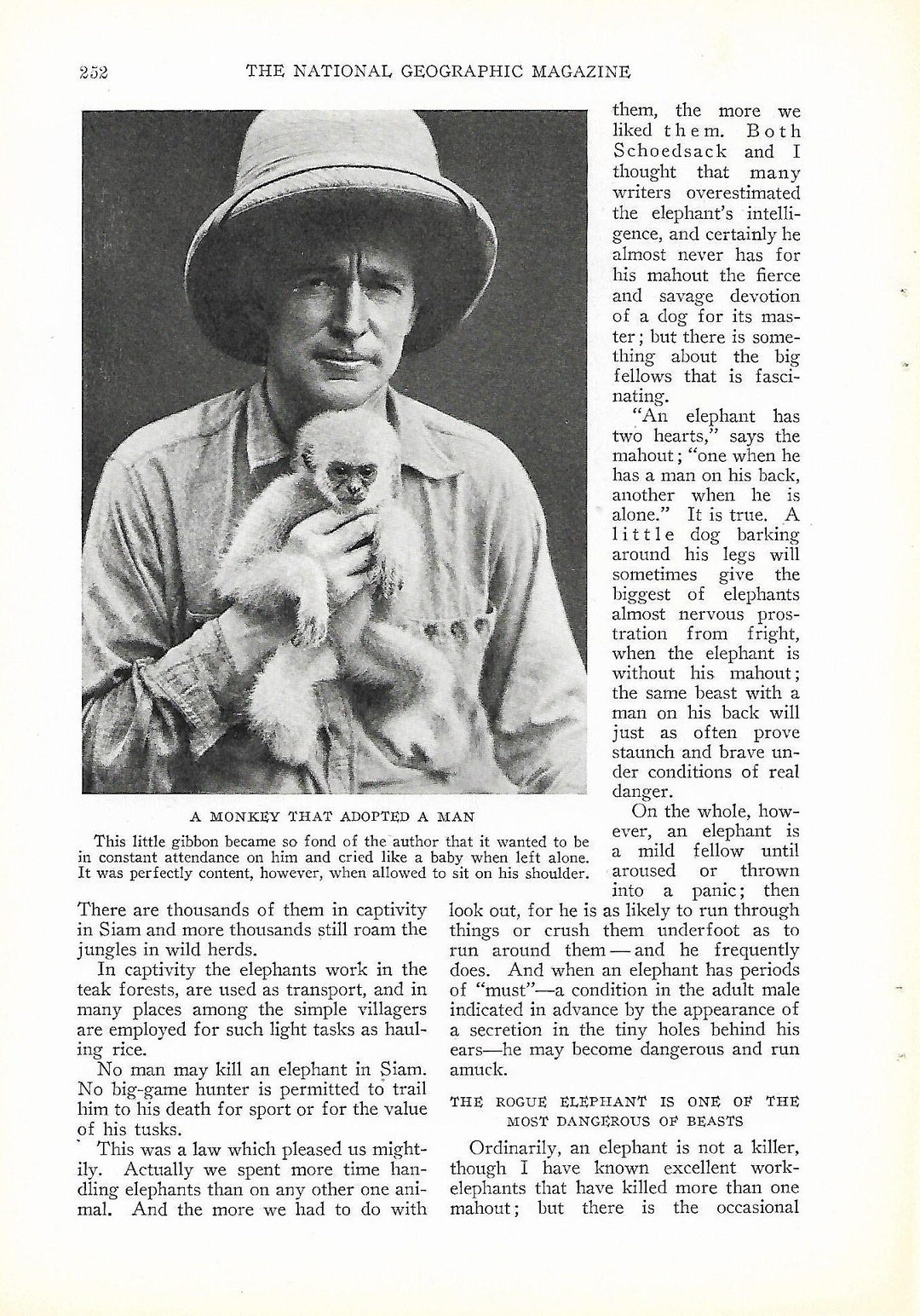 Merian C Cooper and Ernest B. Schoedsack Clipping From National ...