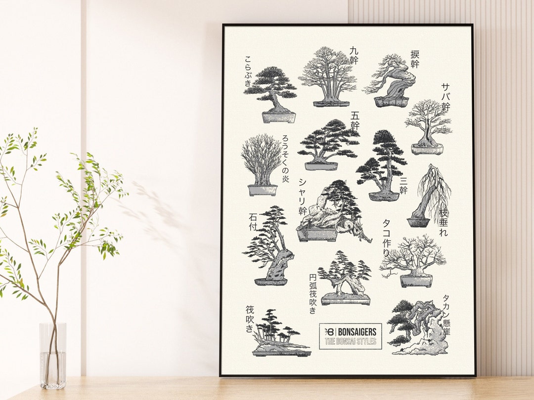 Print 'BONSAI STYLES' A2 Size Woodstock Betulla Paper Recycled - Etsy