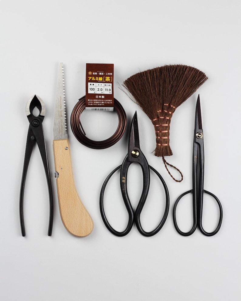 Kit STARTER Bonsai Tool Japan - Etsy