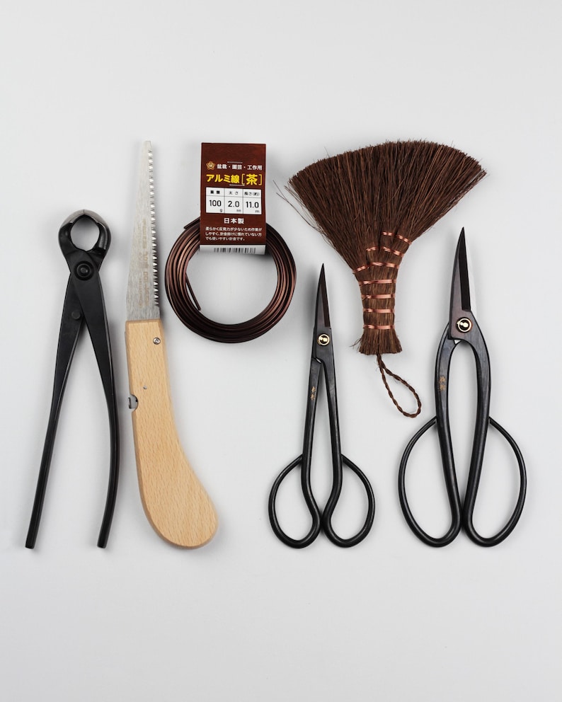 Kit STARTER Bonsai Tool Japan - Etsy