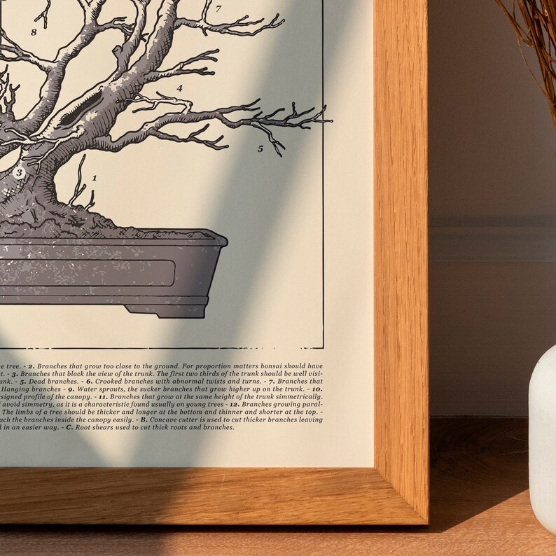 Limited Edition Print 'PRUNING GUIDE' A2 Size Woodstock Betulla Paper ...