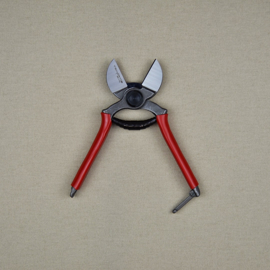 DOUBLE BLADE Shear Professional Bonsai Garden Tool Italy Quality - Etsy
