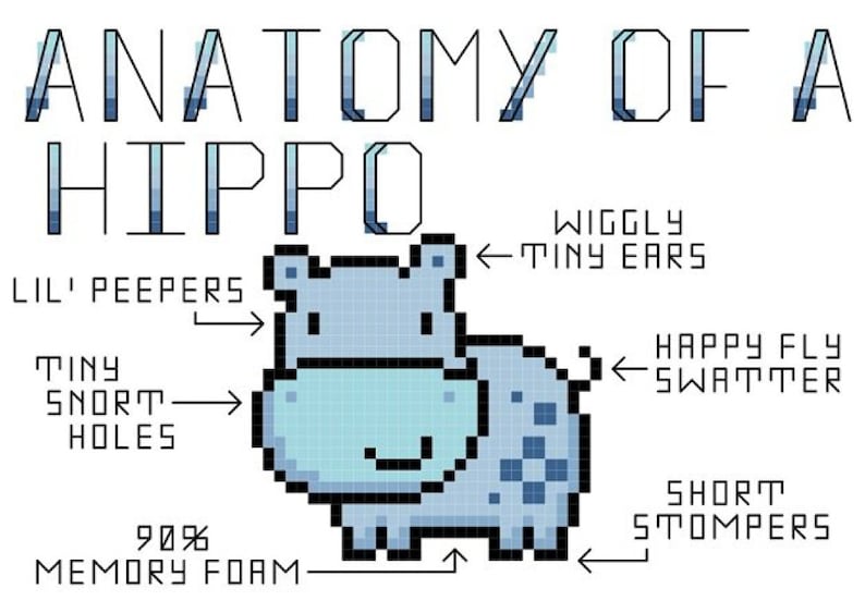 Anatomy of a Hippo Cross Stitch Digital Pattern - Etsy