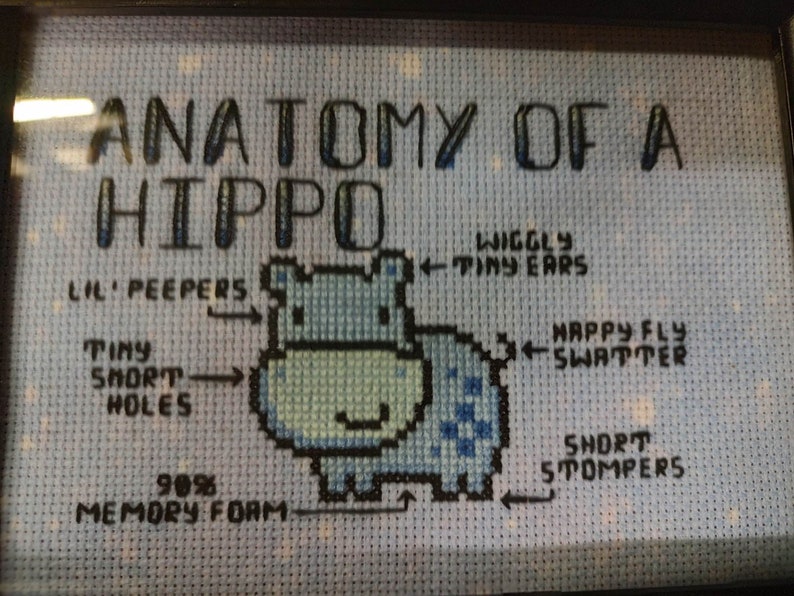 Anatomy of a Hippo Cross Stitch Digital Pattern - Etsy