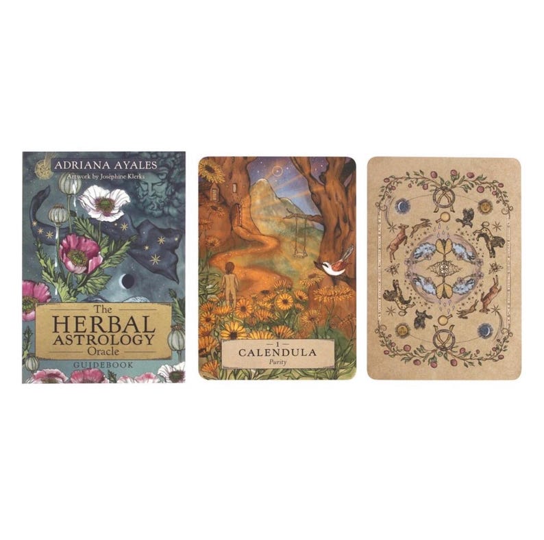 Herbal Astrology Oracle Cards: Divination Deck by Adriana Ayales - Etsy