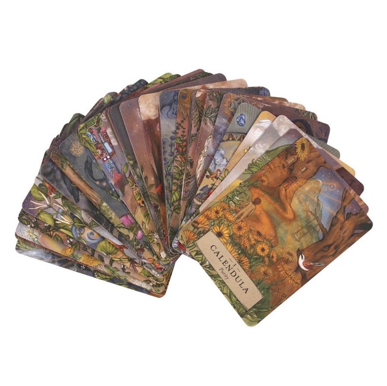 Herbal Astrology Oracle Cards: Divination Deck by Adriana Ayales - Etsy