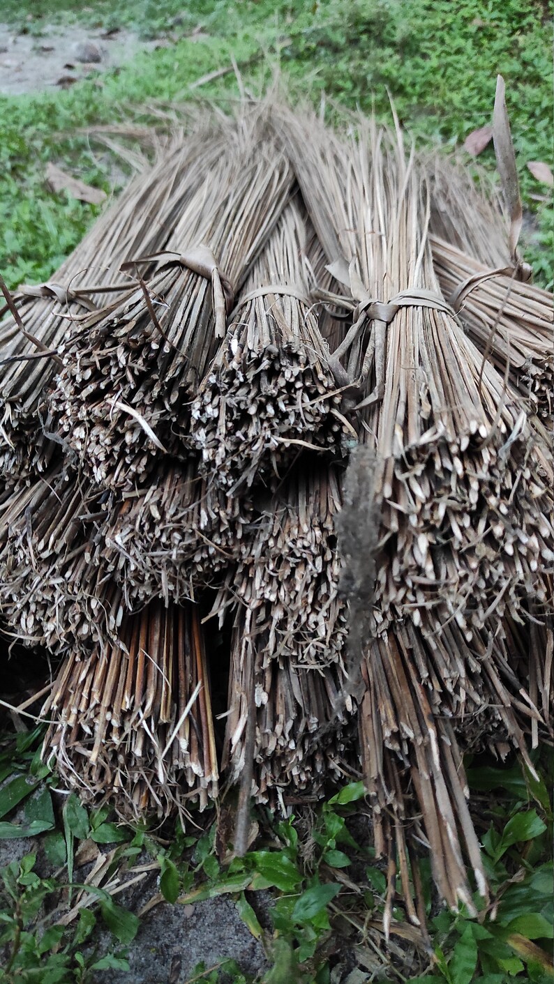 Coconut Leaf Sticks Coconut Husks Coconut Mid Rib Organic Dried Coconut ...