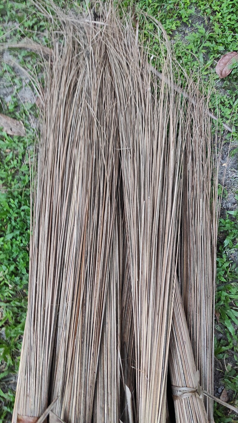 Coconut Leaf Sticks Coconut Husks Coconut Mid Rib Organic Dried Coconut ...