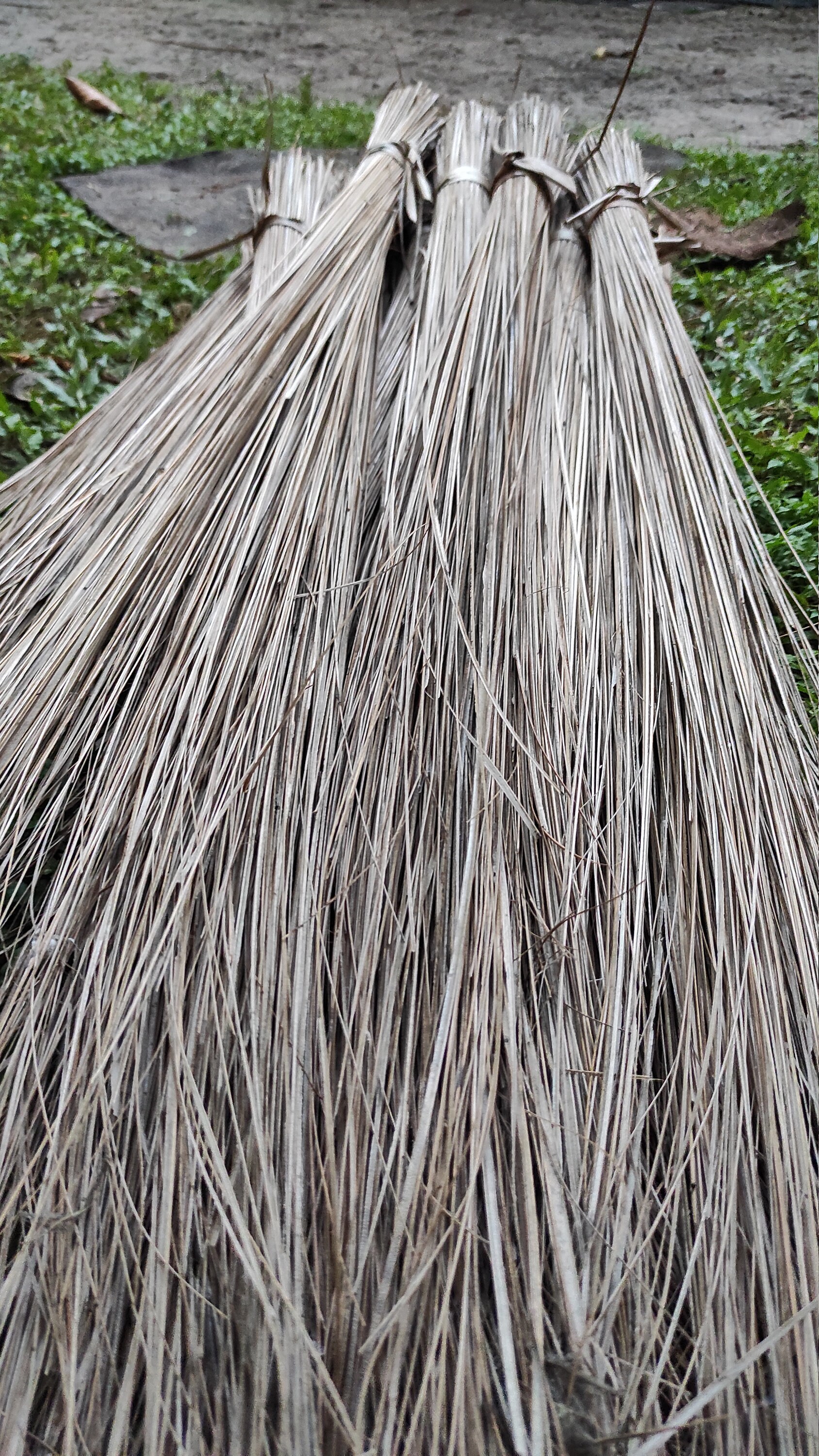 Coconut Leaf Sticks Coconut Husks Coconut Mid Rib Organic Dried Coconut ...