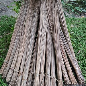 Coconut Leaf Sticks Coconut Husks Coconut Mid Rib Organic Dried Coconut ...