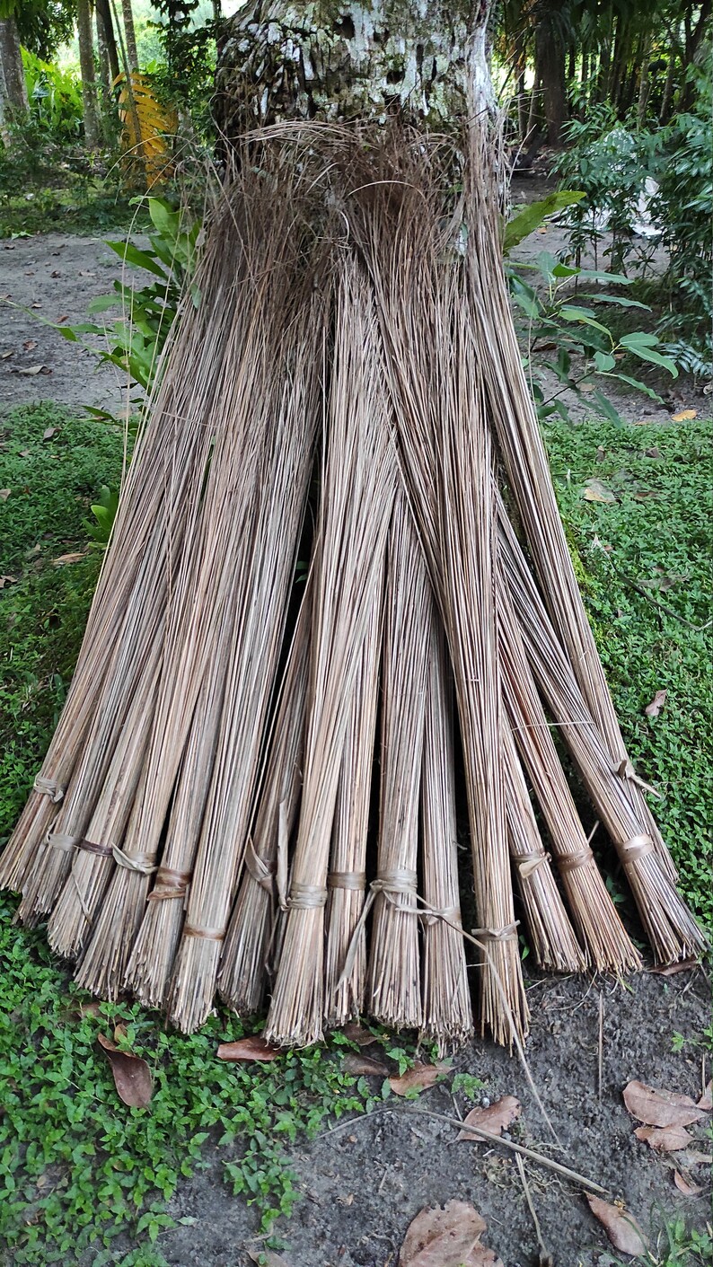 Coconut Leaf Sticks Coconut Husks Coconut Mid Rib Organic Dried Coconut ...