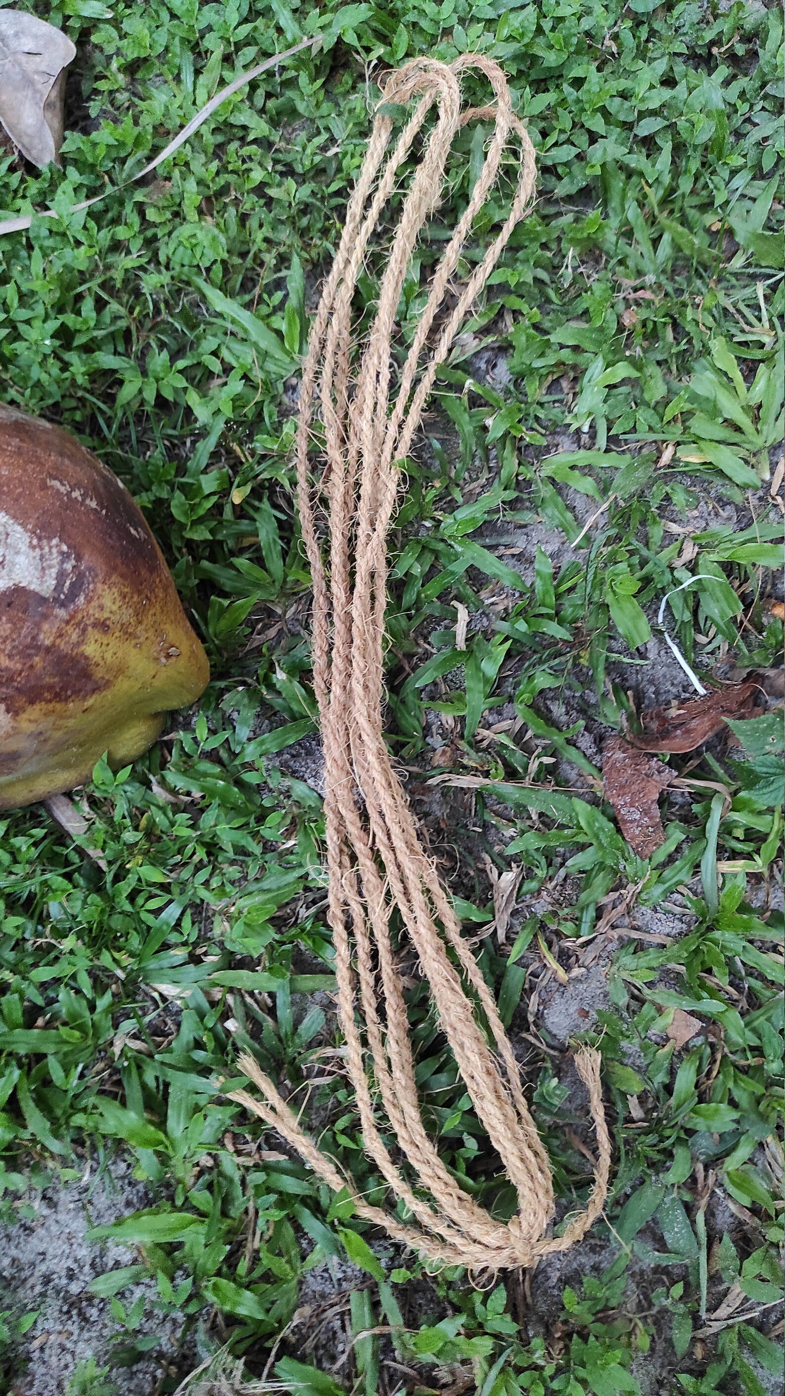 Eco Friendly Organic Coconut Coir Fiber Rope Parrot Ladder Craft ...