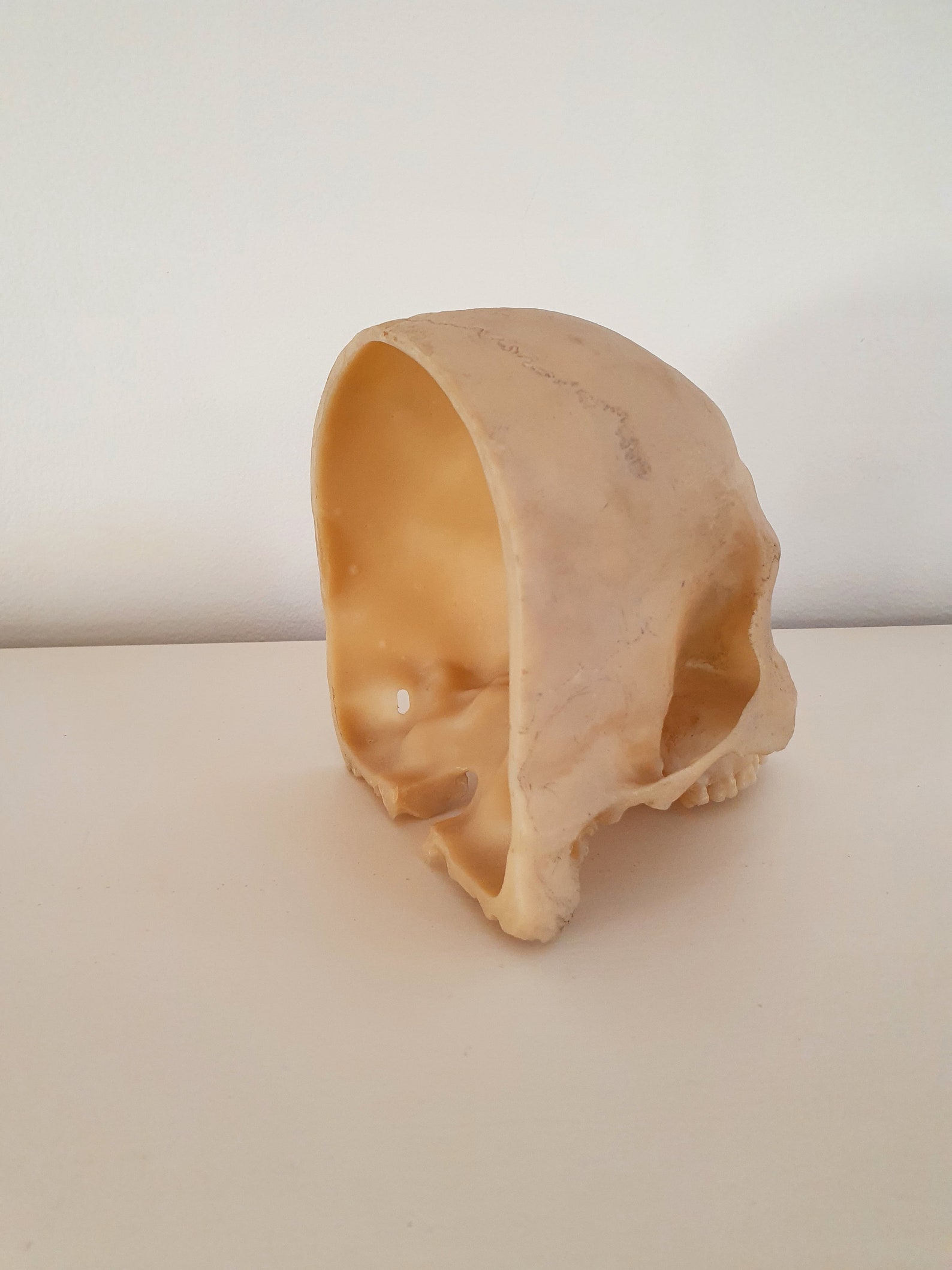 Anatomical Medical Skull, Human Resin Skull, Human Skull Replica ...