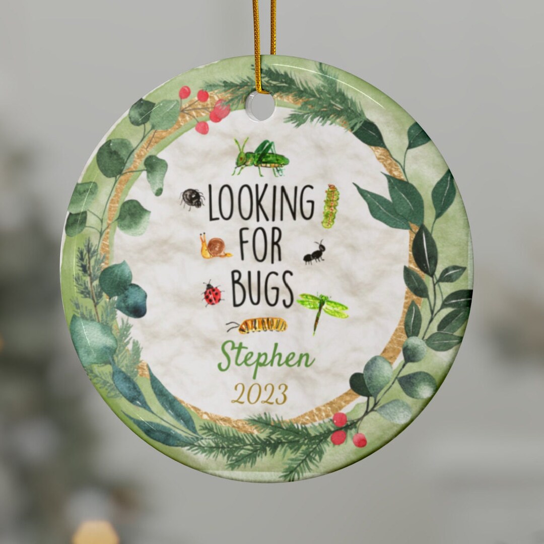 Christmas Ornament, Bug Ornament, Insect Ornament, Bug, Love Bug, Bug ...