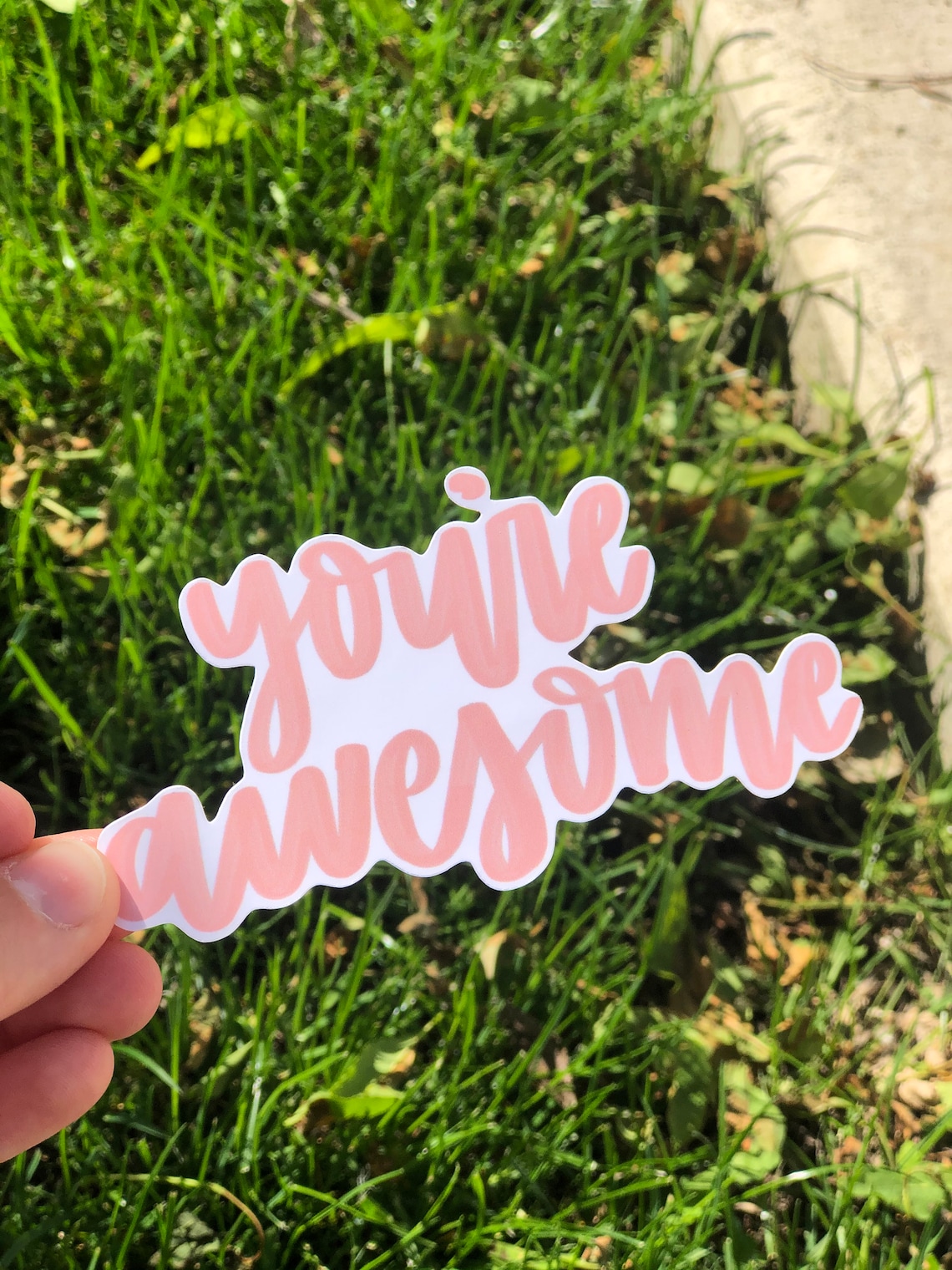 You're Awesome Sticker Light Pink Sticker Positivity Sticker ...