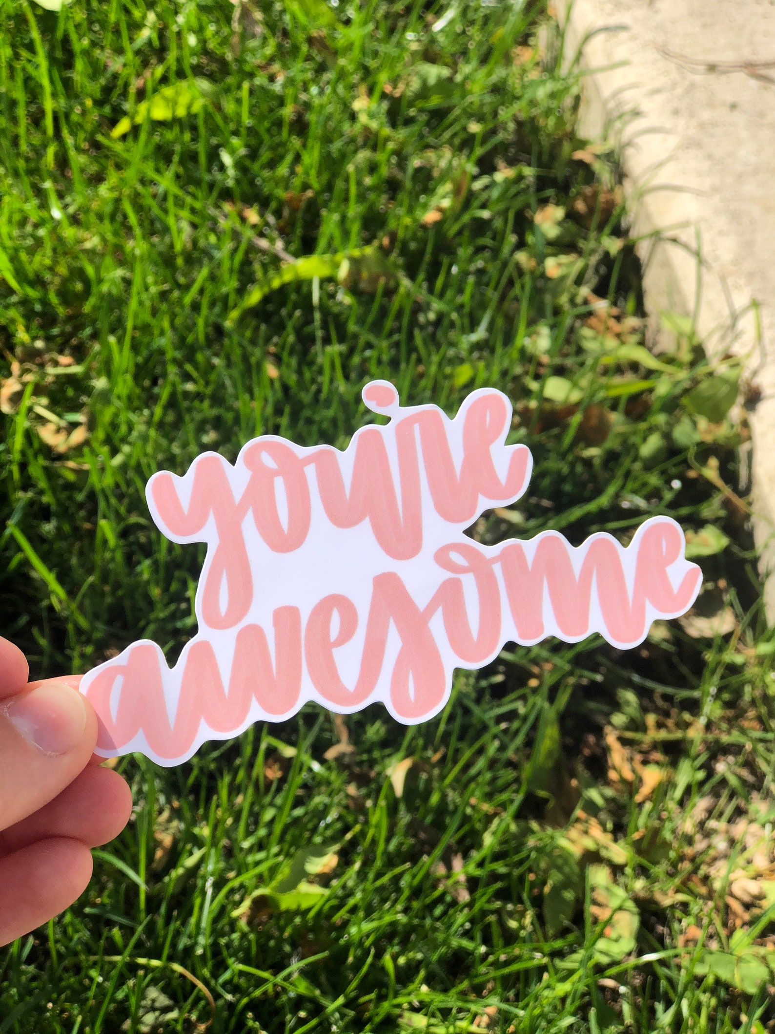 You're Awesome Sticker Light Pink Sticker Positivity Sticker Calligraphy Sticker - Etsy