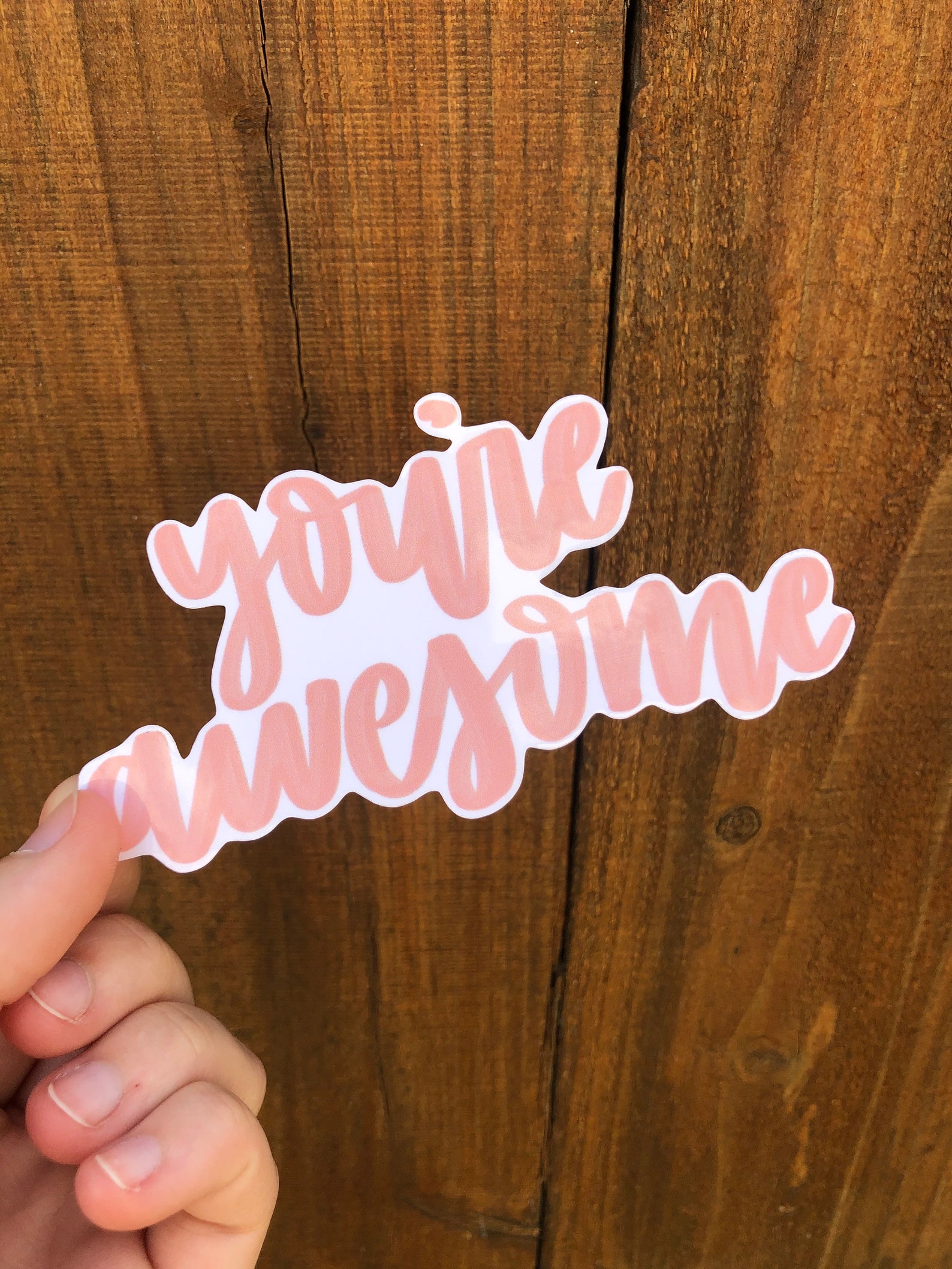 You're Awesome Sticker Light Pink Sticker Positivity Sticker ...