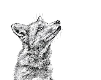Celtic Fox Art - Etsy