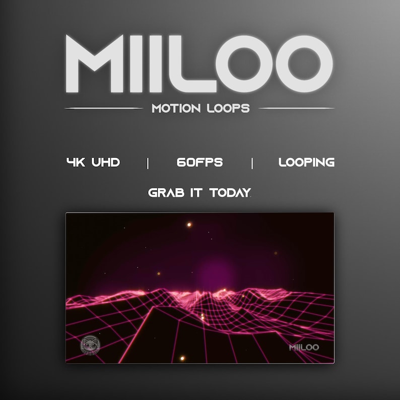 Retro Futuristic Grid Motion Background – Neon Synthwave Animation - Etsy UK