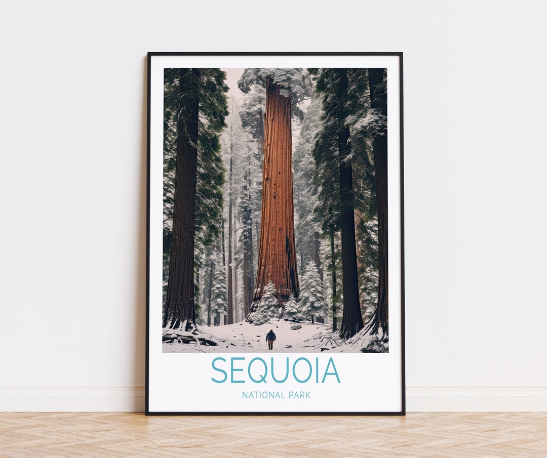Sequoia National Park Poster, Sequoia Wall Art, National Park Print ...