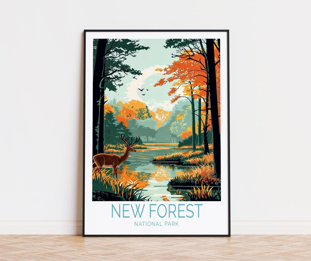 New Forest National Park Travel Poster, England Wall Art, New Forest ...