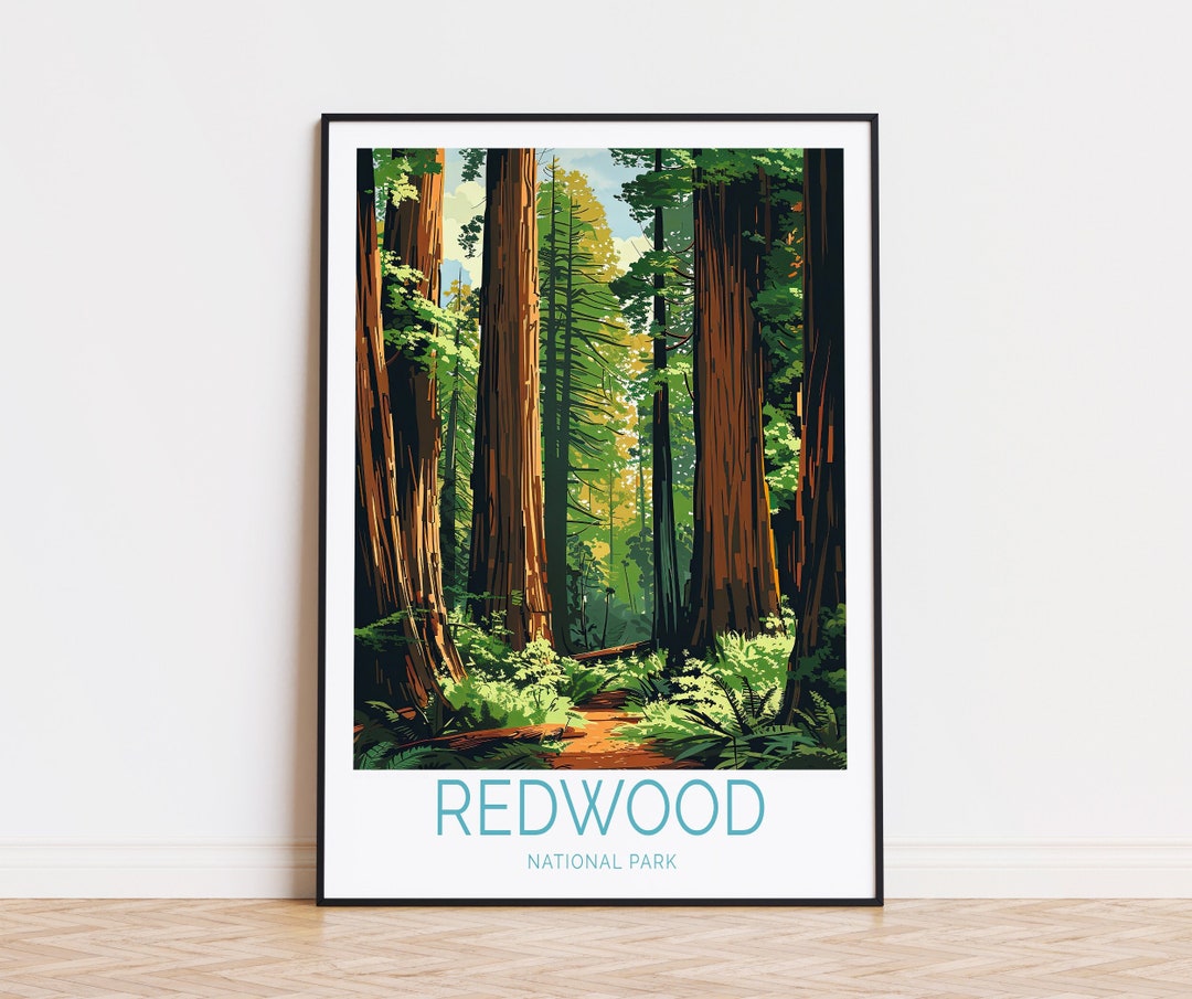 Redwood Travel Poster, National Park Redwood Print, California Wall Art ...